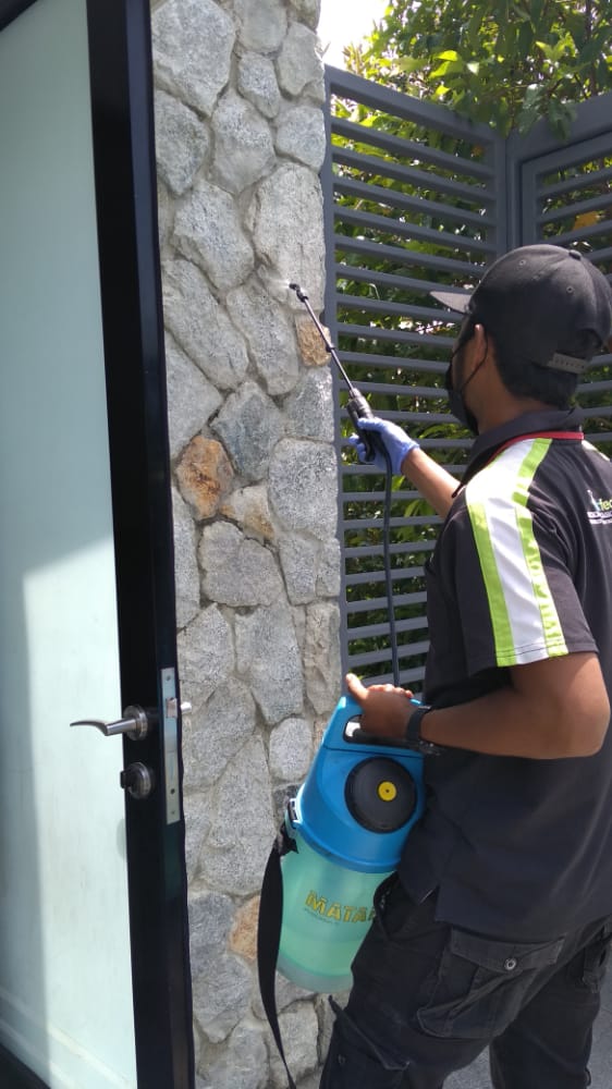 Pest Control And Termite Control Services Muar – Perfection Pest ...
