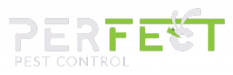 Malaysia Pest Control Experts | Perfection Pest Management